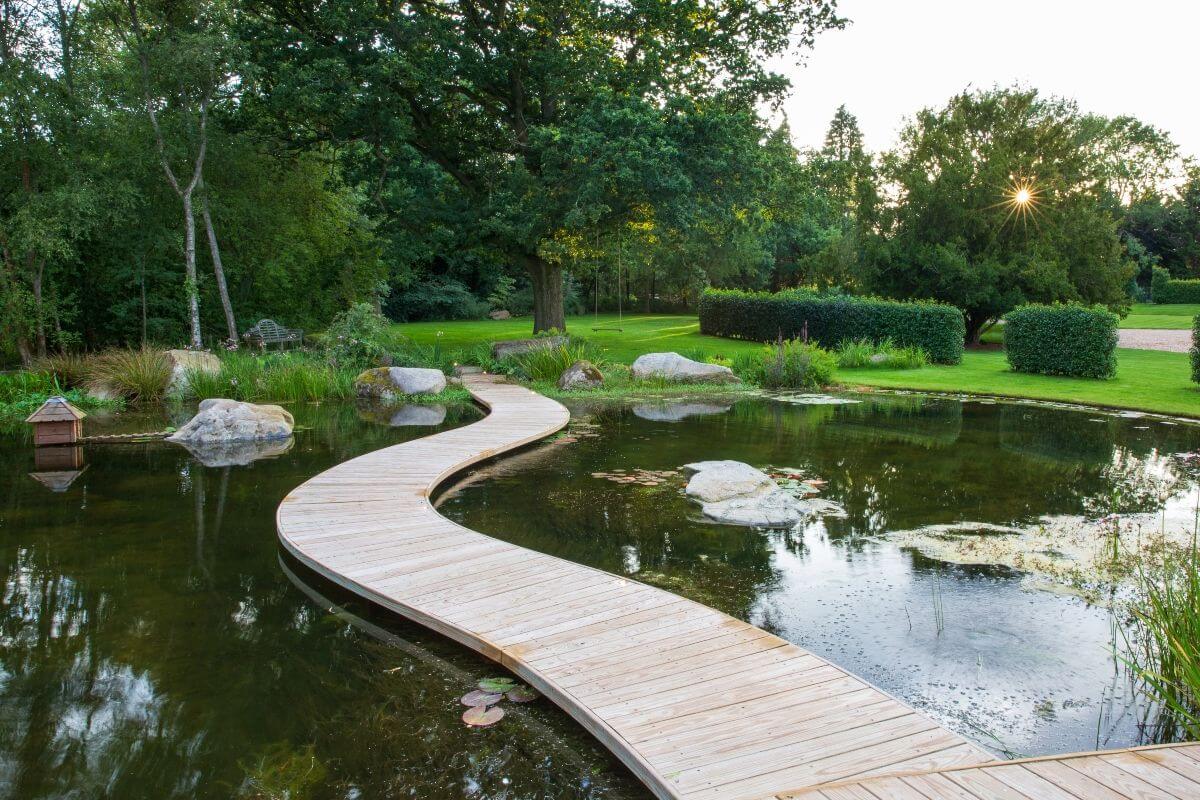 Water - Garden Design Co