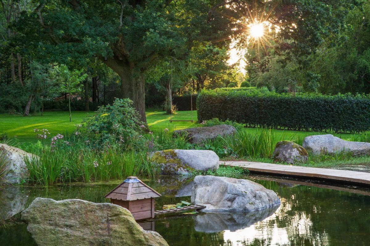 Pip's Pond - Garden Design Co