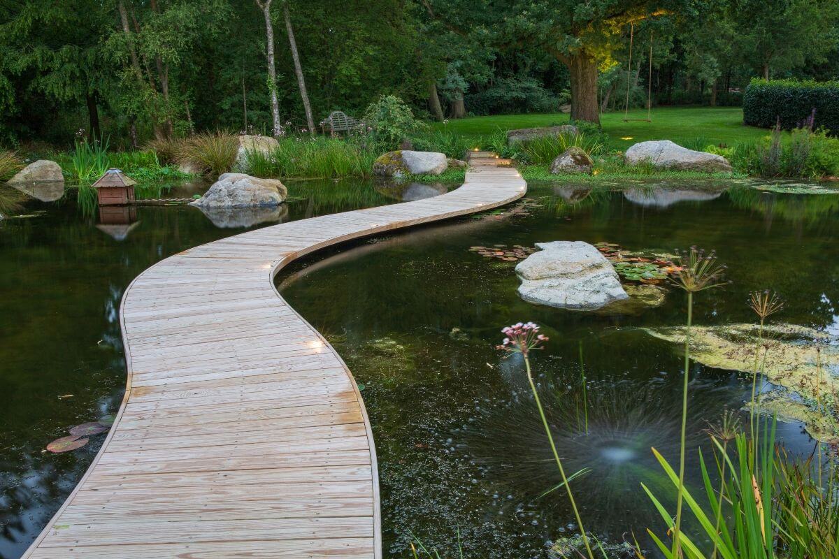 Pip's Pond - Garden Design Co